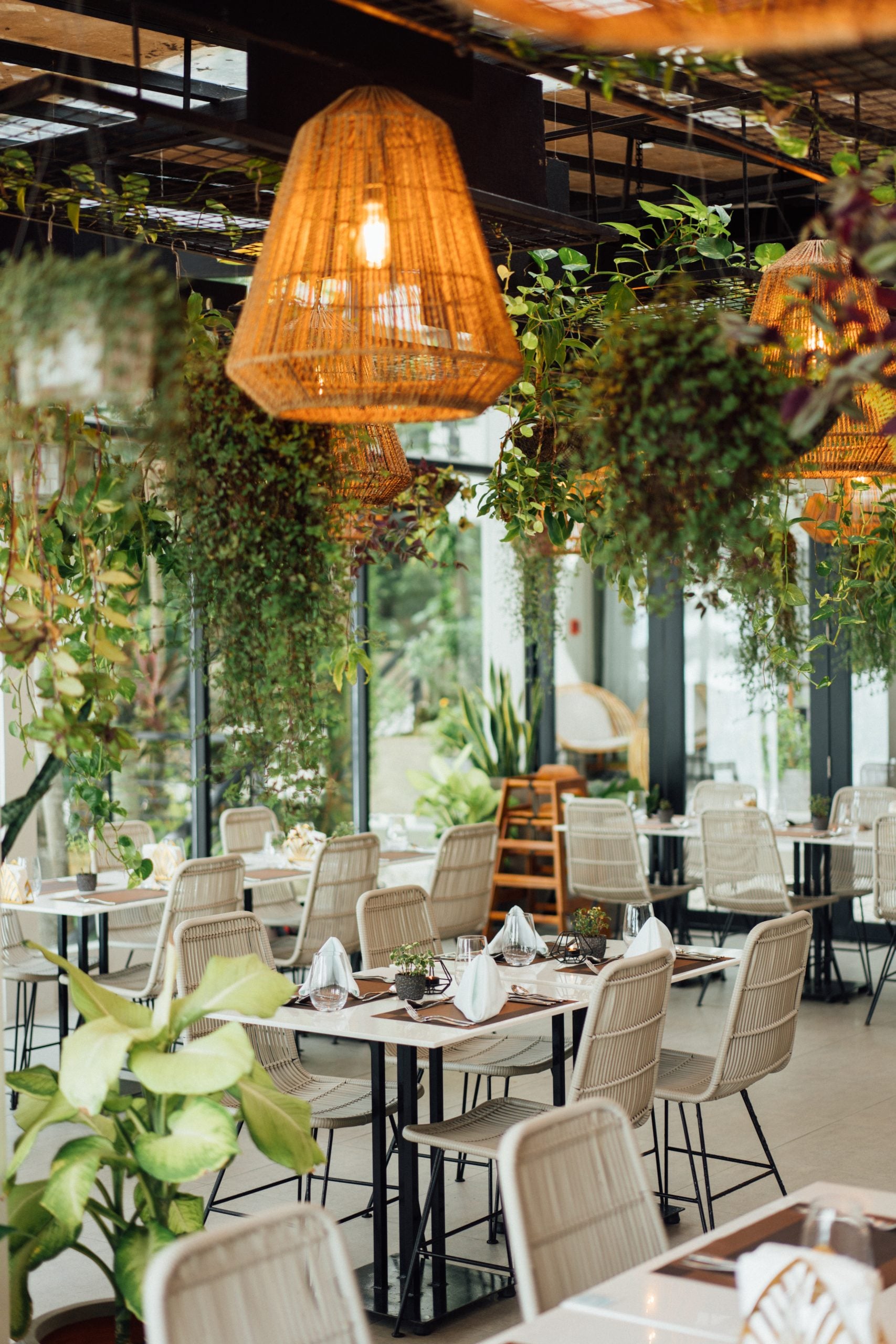 The Acacia Restaurant: Cuisine in Anilao - Solitude World
