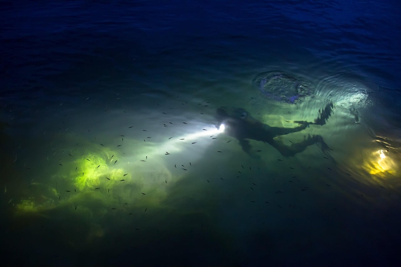 Types of Diving: Explore the Most Popular Dive Styles