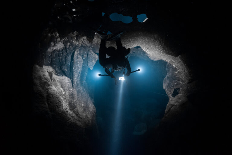 Types of Diving: Explore the Most Popular Dive Styles