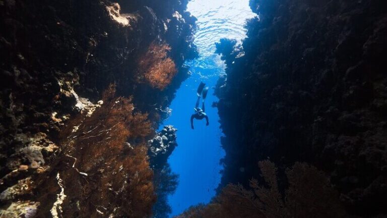 Types of Diving: Explore the Most Popular Dive Styles