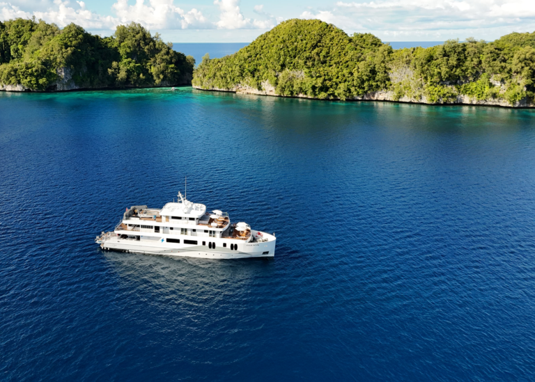What is Drift Diving? Tips, Gears, & Top Locations
