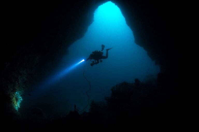 Types of Diving: Explore the Most Popular Dive Styles