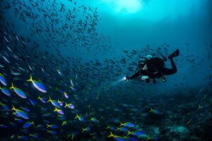 Types of Diving: Explore the Most Popular Dive Styles